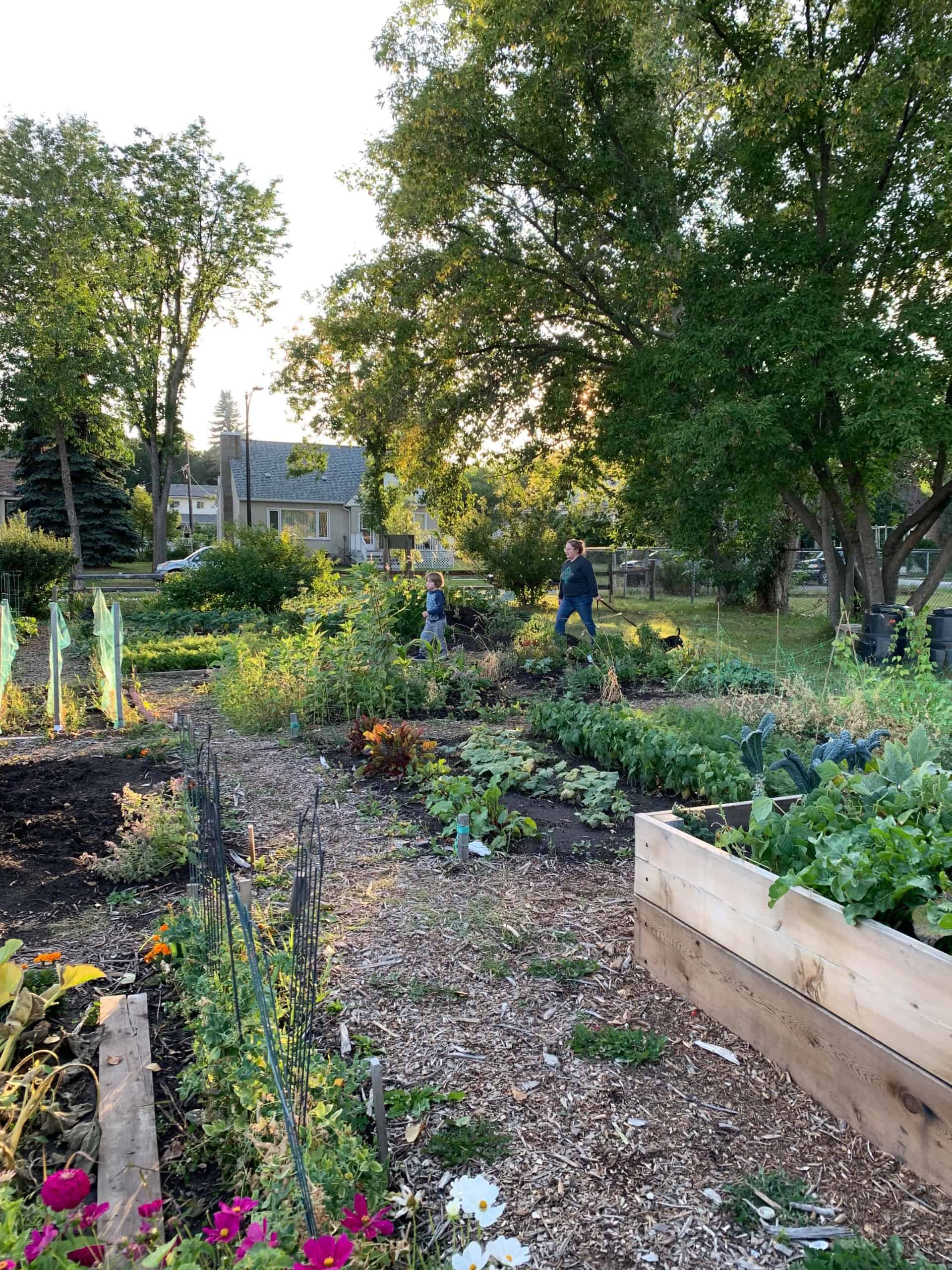Community Garden - Highlands Community League Edmonton